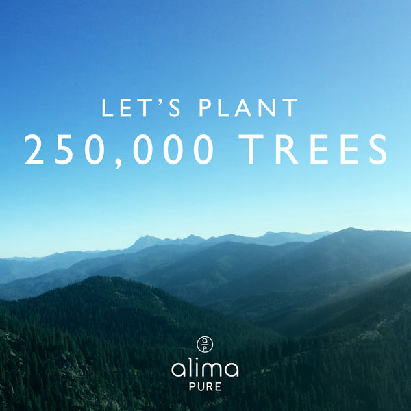 Let’s Plant a Forest Together – Alima Pure